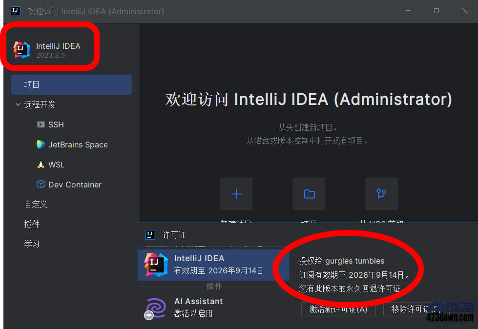 IntelliJ IDEA 2023.3.6 IDea2023中文激活版 - 423Down